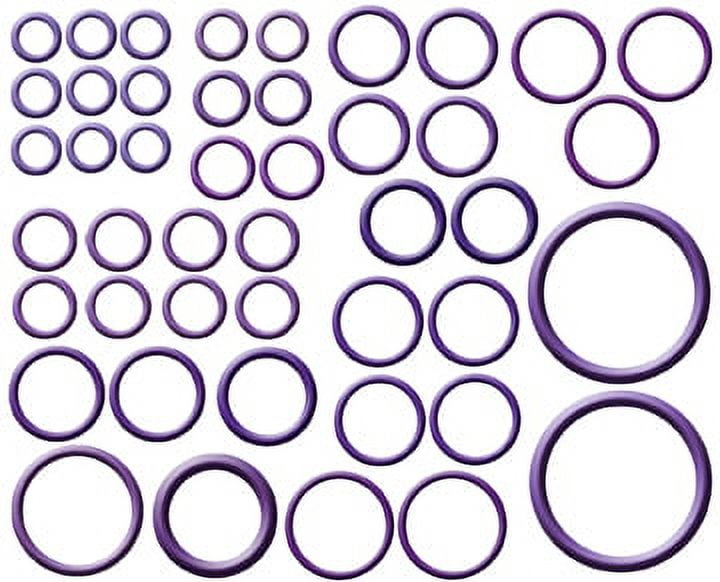 BuyAutoParts 60-90067 A/C O-Ring Kit AC O Rings - BuyAutoParts ...