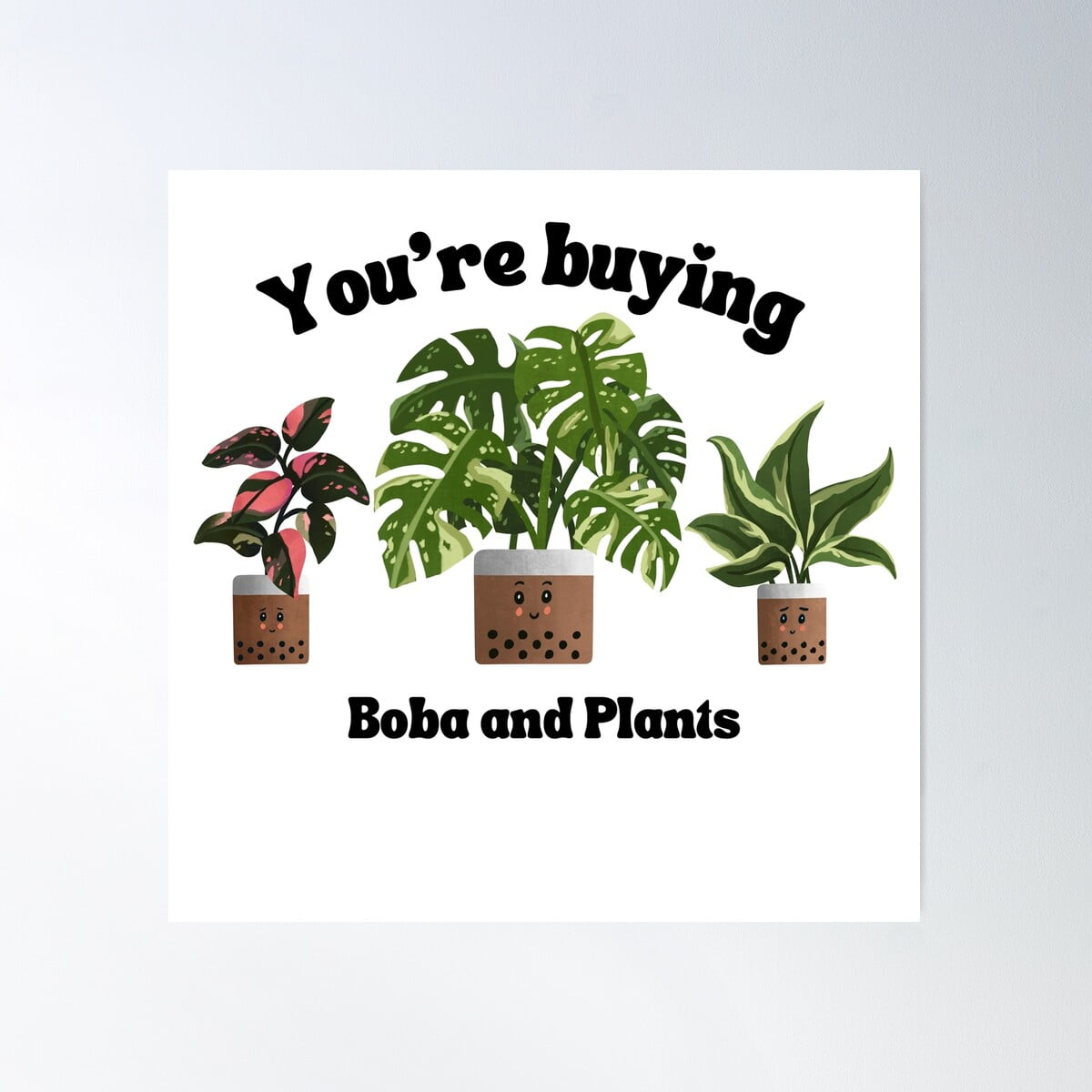 You'Re Buying Boba Trio Of Plants,Philodendron Pink Princess,Monstera ...