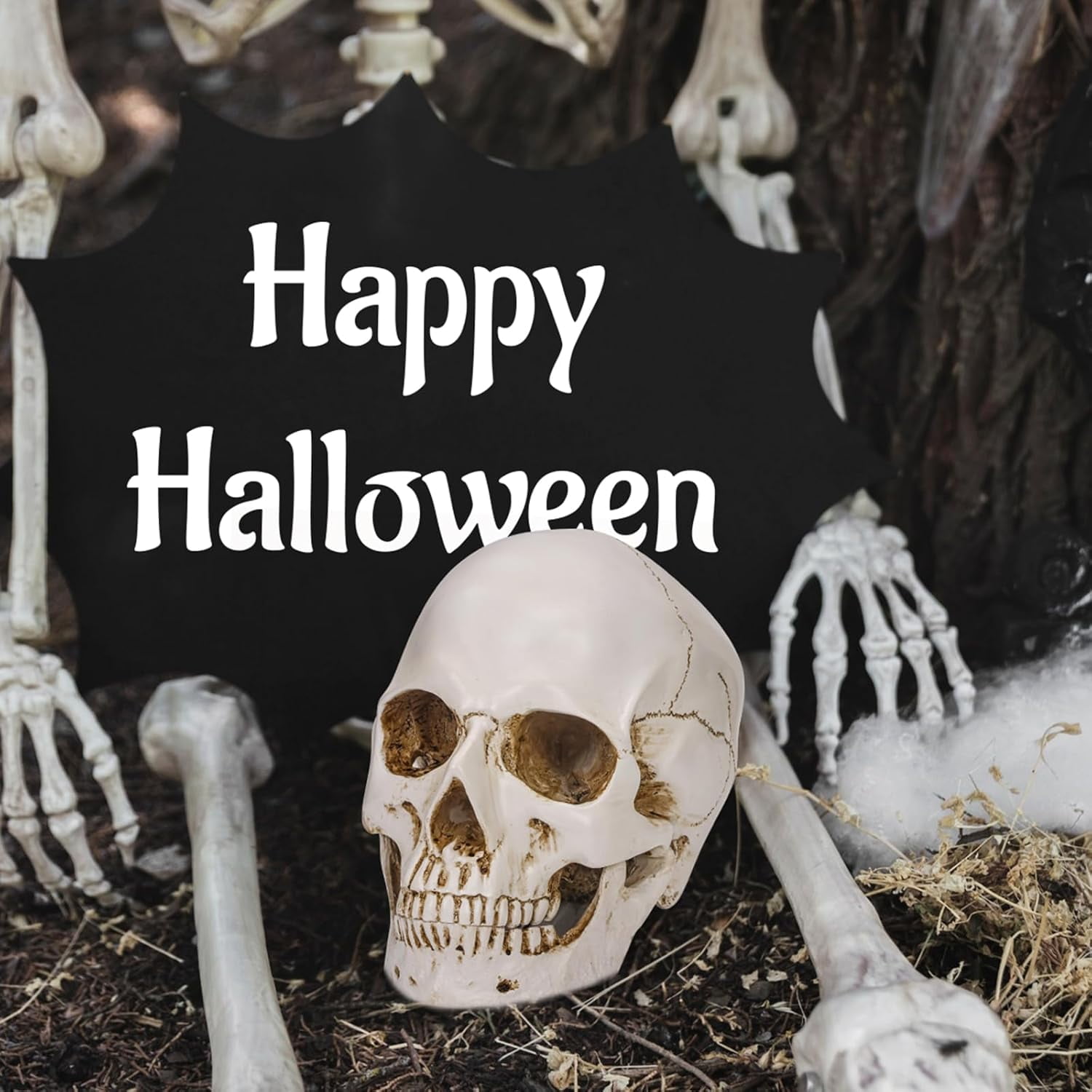Buyya Human Model Halloween Head 1 Skeleton Resin Life Size Skulls ...