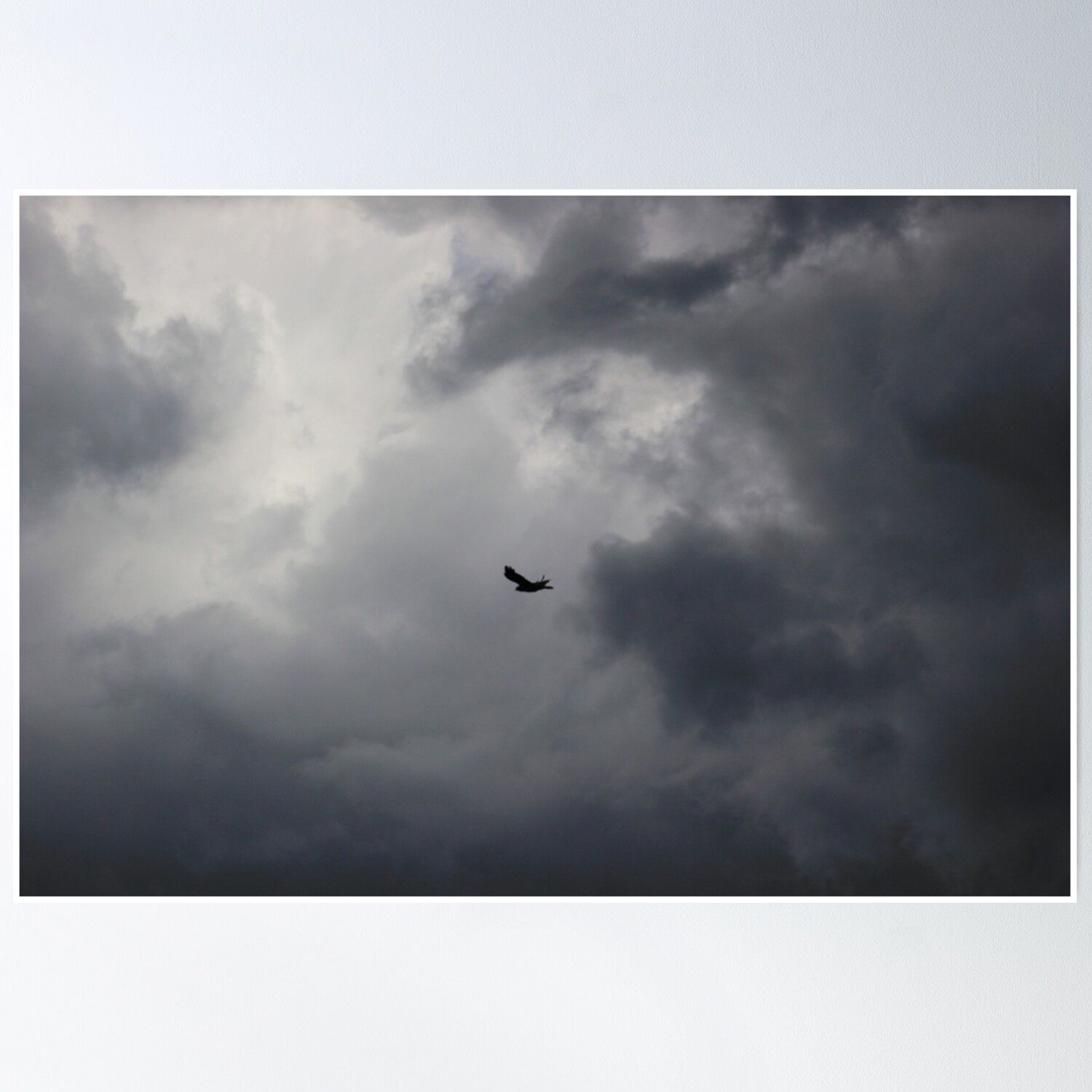 Buzzard Flying In Stormy Sky Poster Wall Art, Modern Wall Decor, 8x12 ...