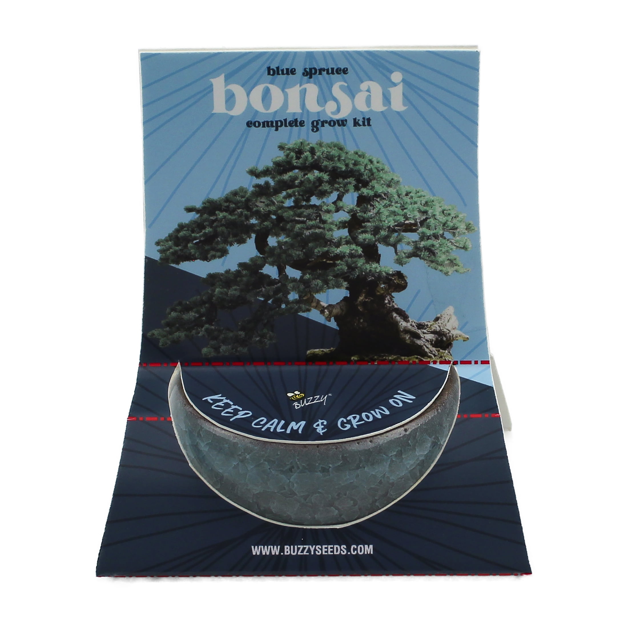 Buzzy Bonsai Blue Spruce Tree Grow Kit with Crackle Ceramic Pot Item 97713 - Walmart.com