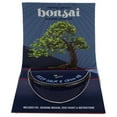 Buzzy Bonsai Norway Spruce Tree Grow Kit with Crackle Ceramic Pot Item ...