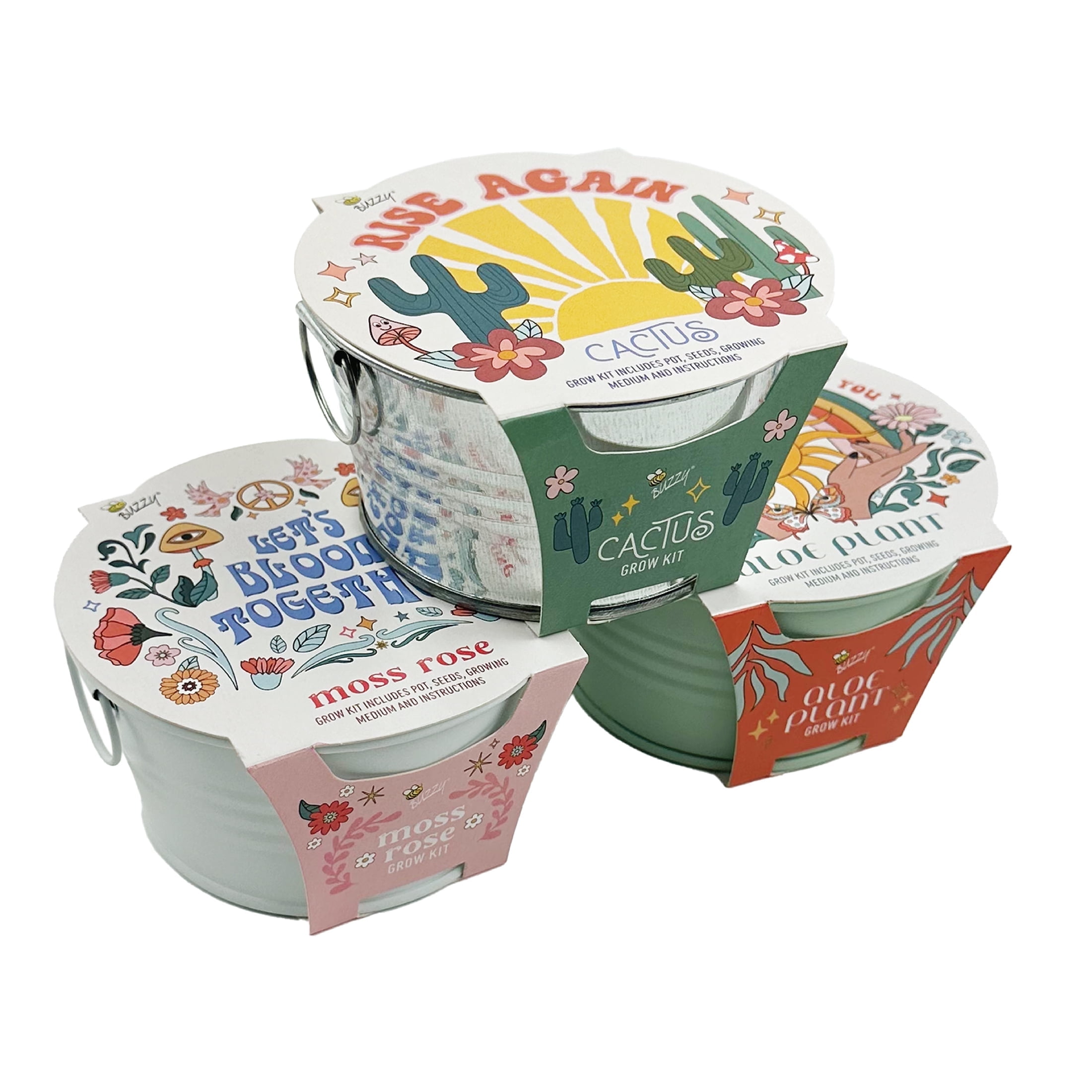 Buzzy Seeds Aloe Cactus Moss Rose Mini Basin Grow Kits Indoor Seed ...