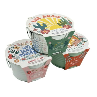 Buzzy Seeds Basil Alyssum Spruce Holiday Mini Pot Grow Kits 12 pk ...