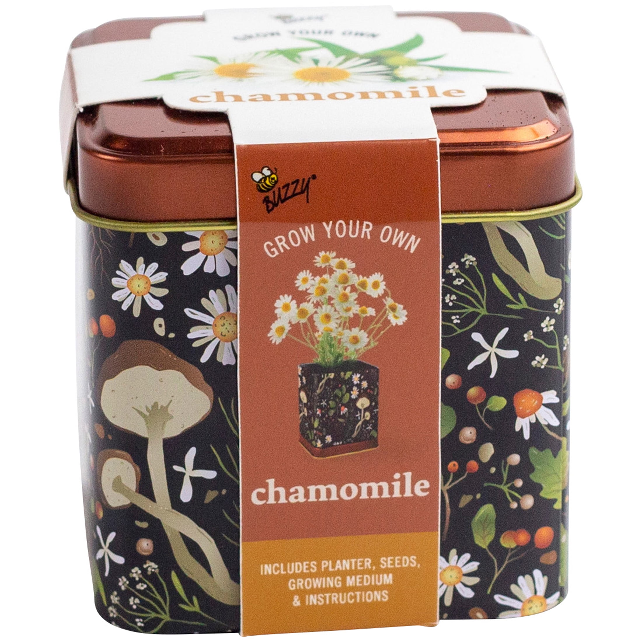 Buzzy Chamomile Herb Grow Kit With Decorative Floral Tin Item 97208 ...