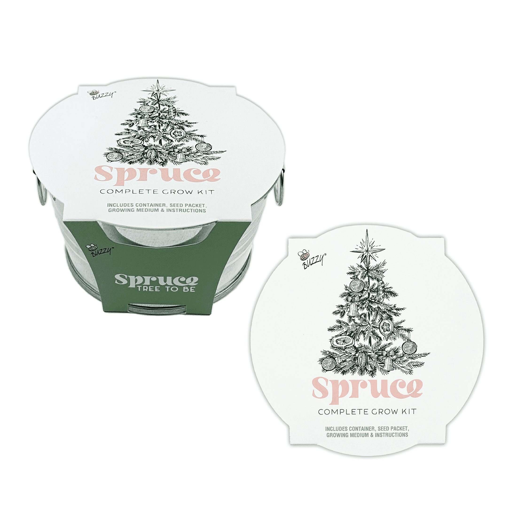 Buzzy Christmas Tree-To-Be Mini Basin Grow Kit, Spruce Tree Indoor ...