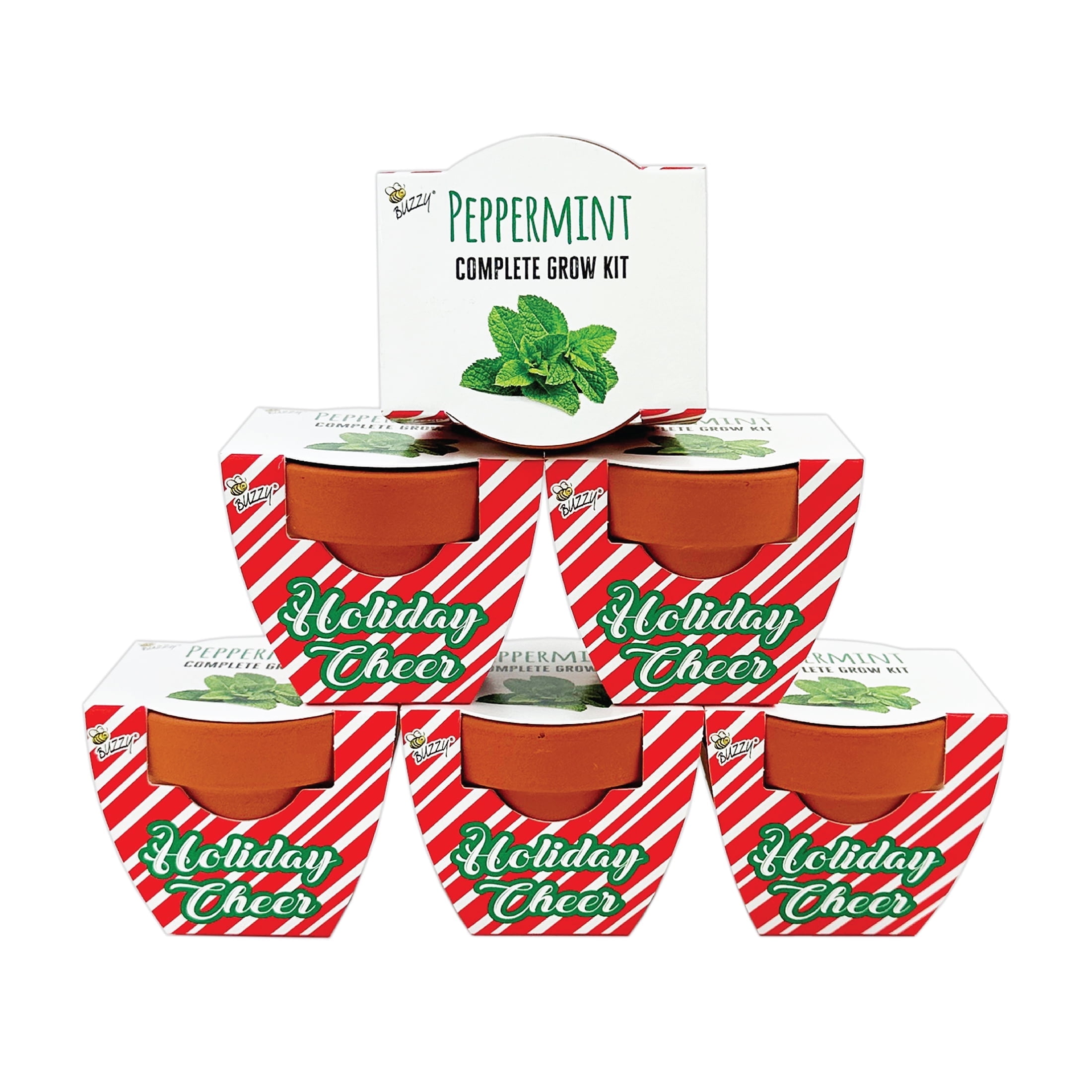 Buzzy Seeds Holiday Peppermint Mini Grow Pot Seed Starter Gardening Kit ...