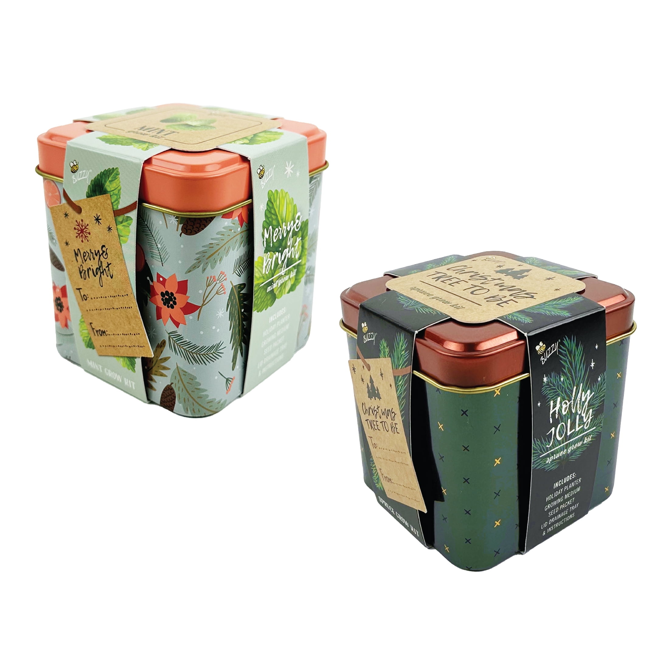 Buzzy Seeds Holiday Spruce and Mint Grow Kit in Decorative Tins 2pk ...