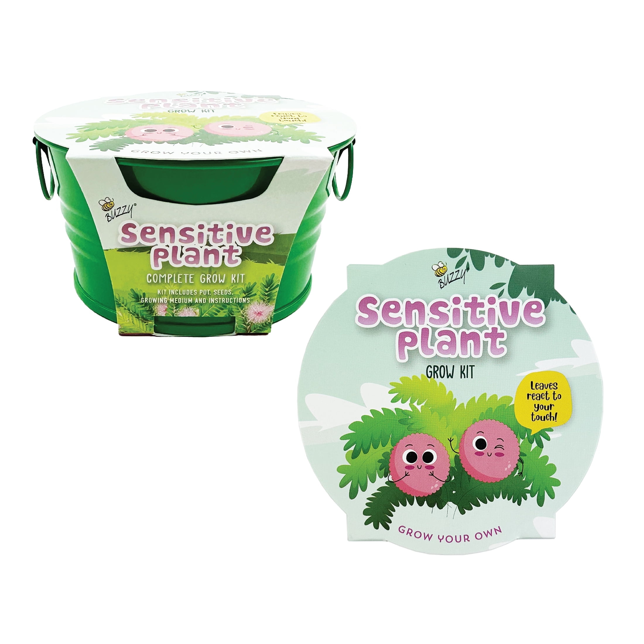 Buzzy Seeds Kids Sensitive Plant Mini Basin Gardening Kit Seed Starter ...