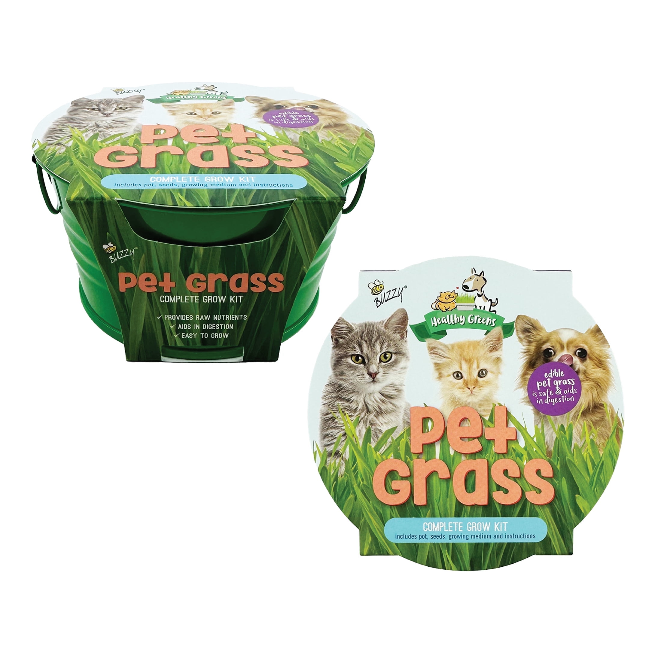 Buzzy Seeds Pet Grass Indoor Seed Starter Green Mini Basin Grow Kit ...