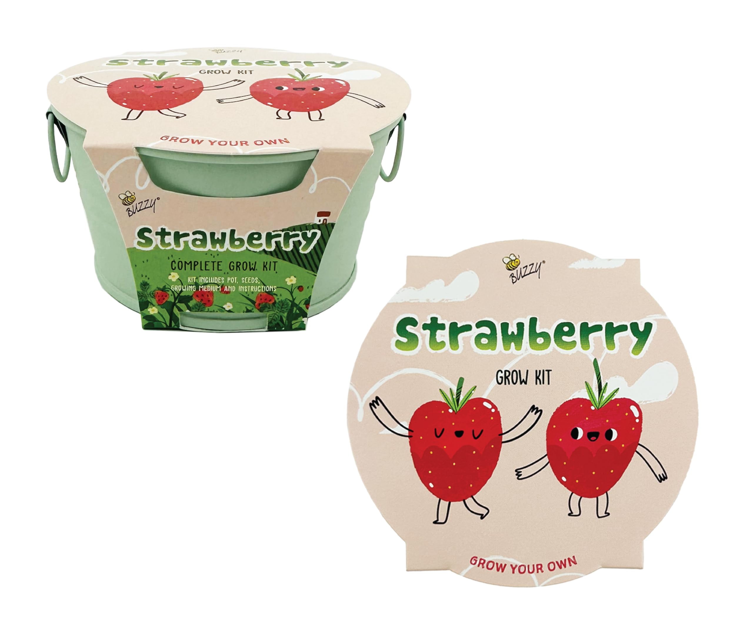 Buzzy Seeds Kid's AJH3 Strawberry Mini Basin Grow Kit | Light Green ...