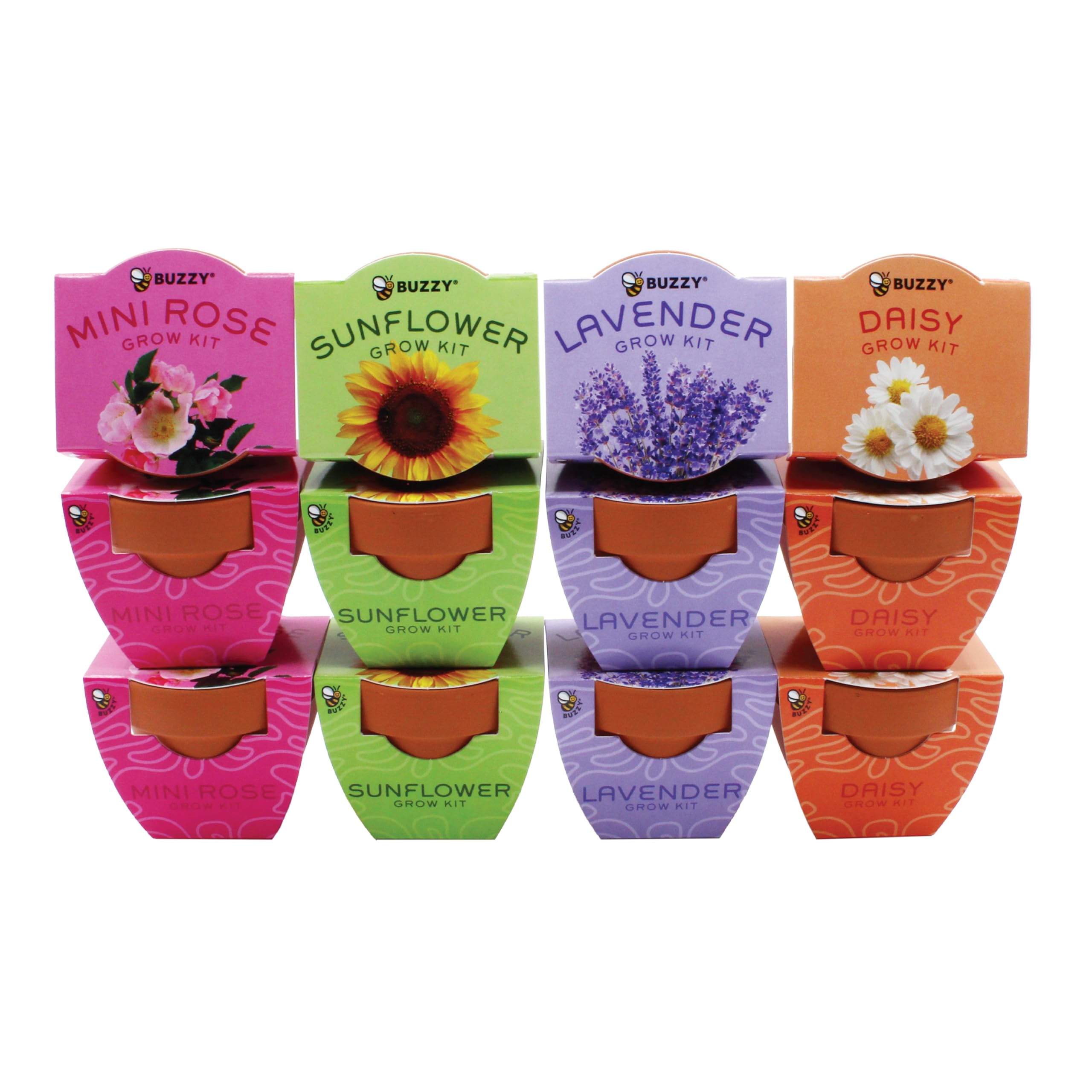 Buzzy Seeds Terracotta FEV6 Mini Grow Pots | Herb, Plant, Starter Kit ...