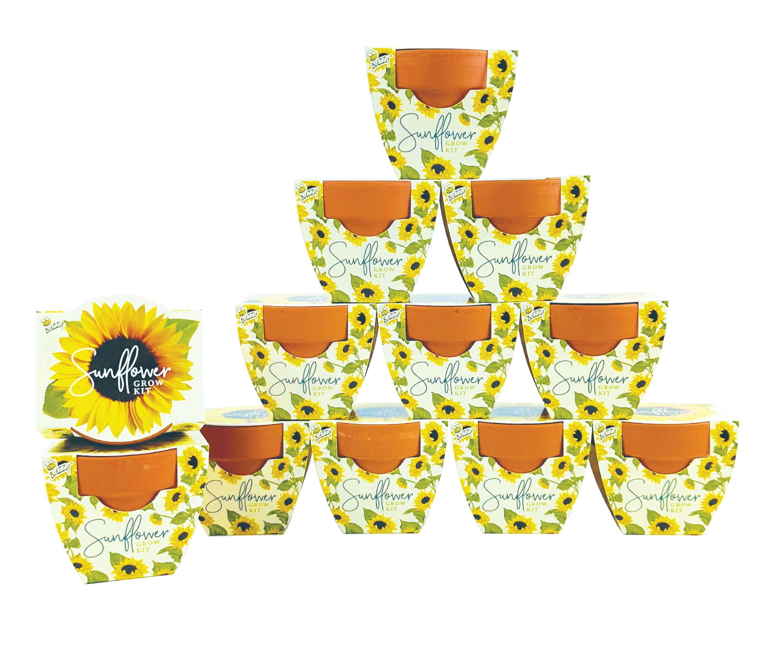 Buzzy Seeds Terracotta FEV6 Mini Grow Pots | Herb, Plant, Starter Kit ...