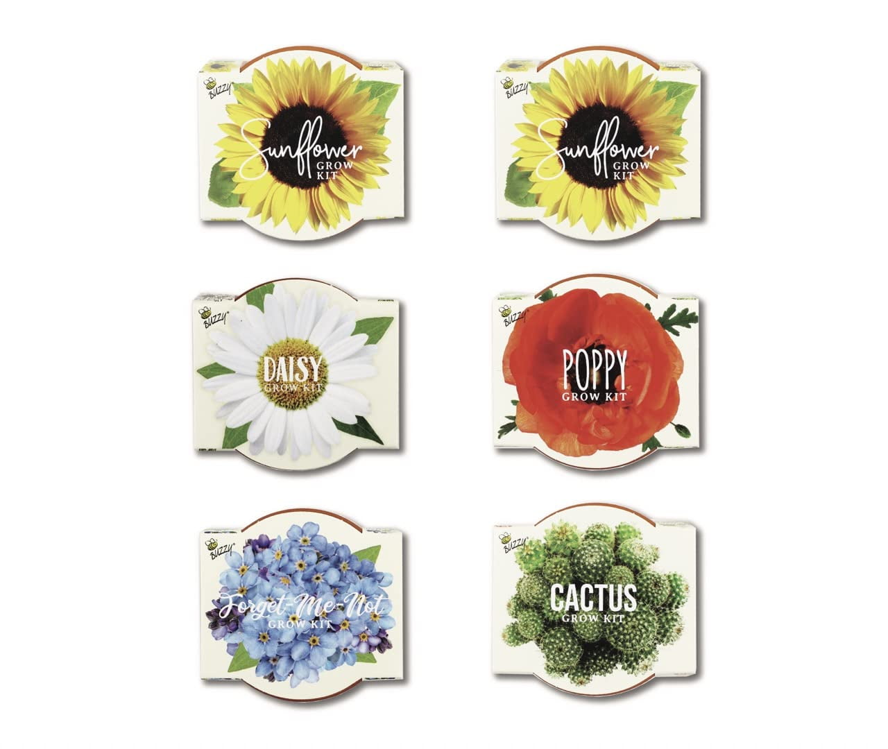 Buzzy Seeds Terracotta Mini Grow Pots | H2FSDHerb, Plant, Flower ...