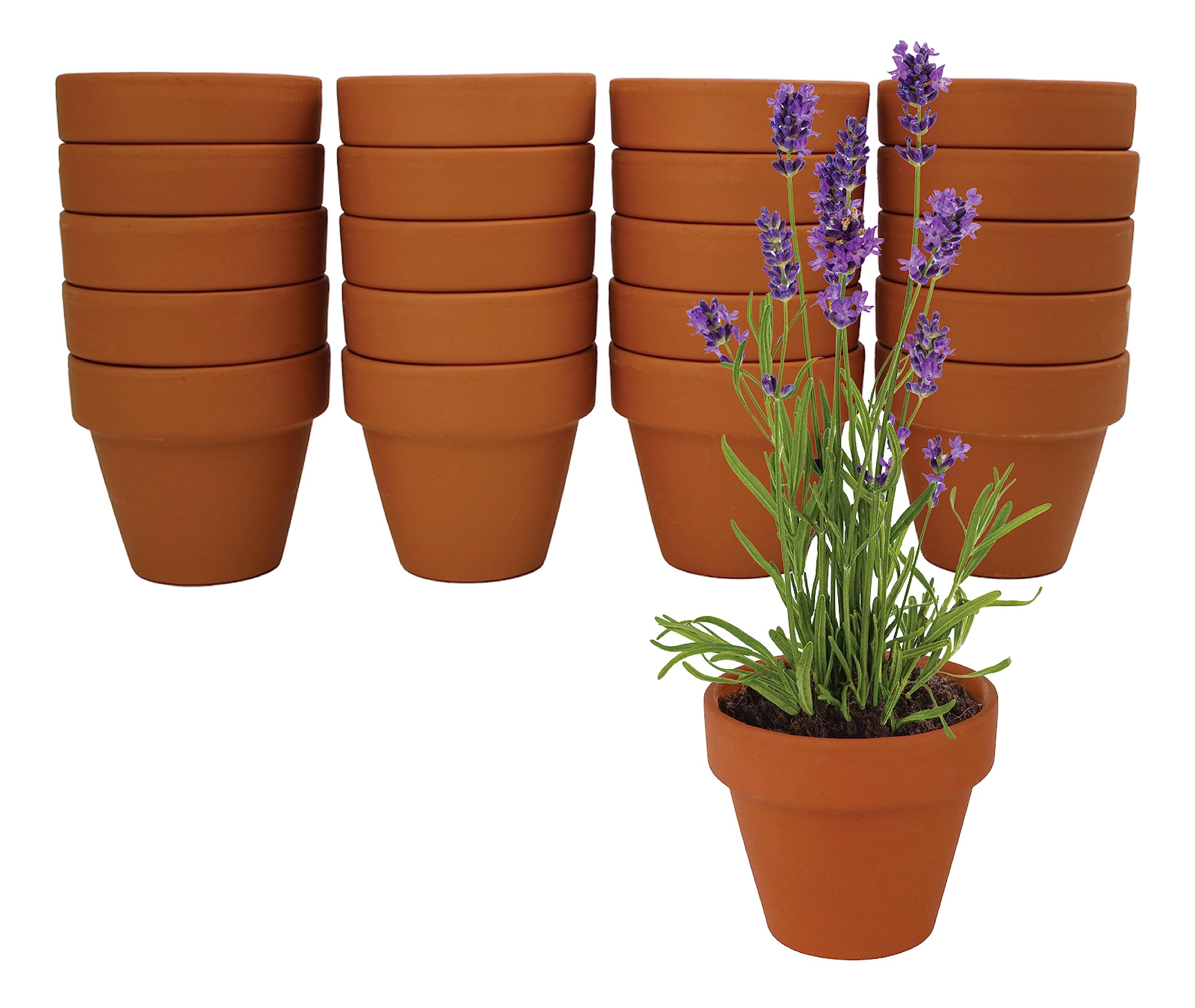Buzzy Seeds Terracotta Mini Grow Pots | H2FSDHerb, Plant, Starter Kit ...