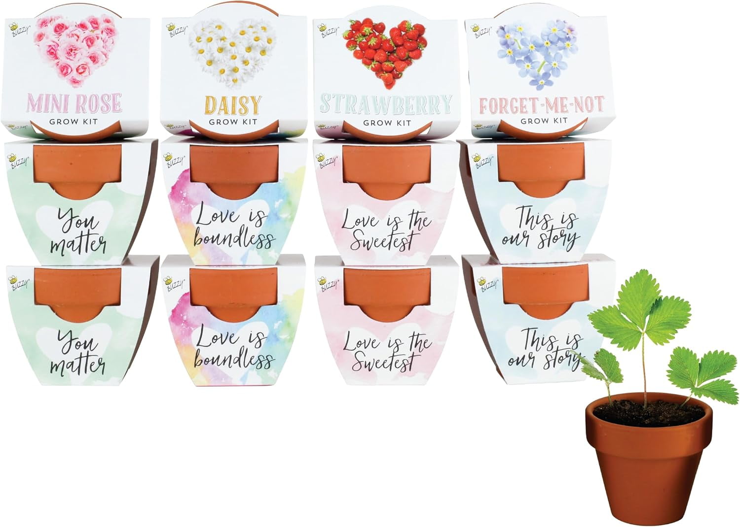 Buzzy Seeds Terracotta Mini Grow Pots | Herb, Plant, Flower Starter Kit ...