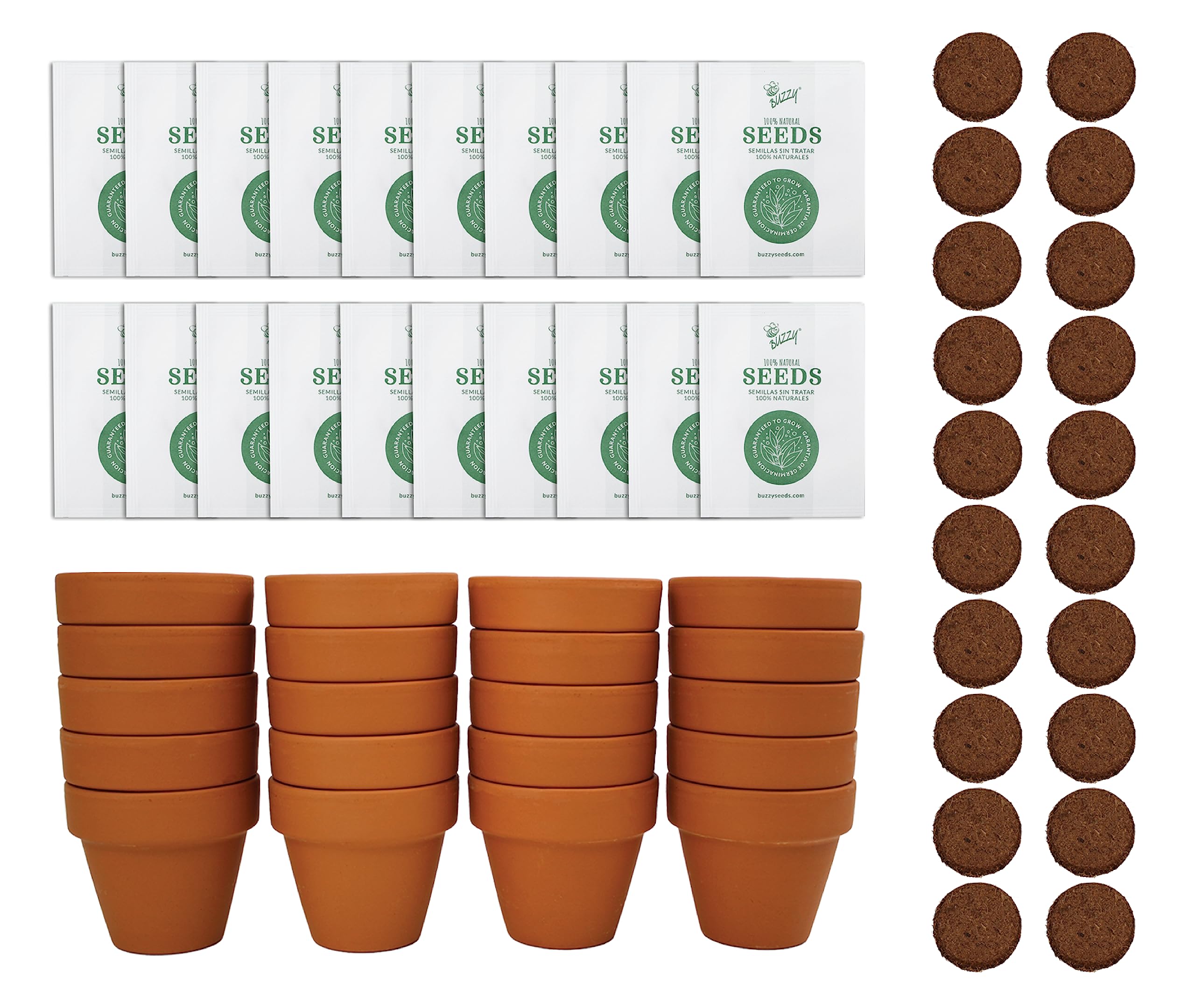 Buzzy Seeds Terracotta Mini Grow Pots | Herb, Plant, Flower Starter Kit ...