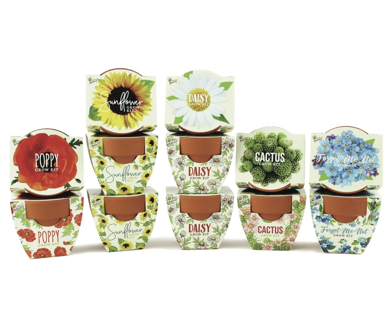 Buzzy Seeds Terracotta Mini Grow Pots ZLK1 | Herb, Plant, Flower ...