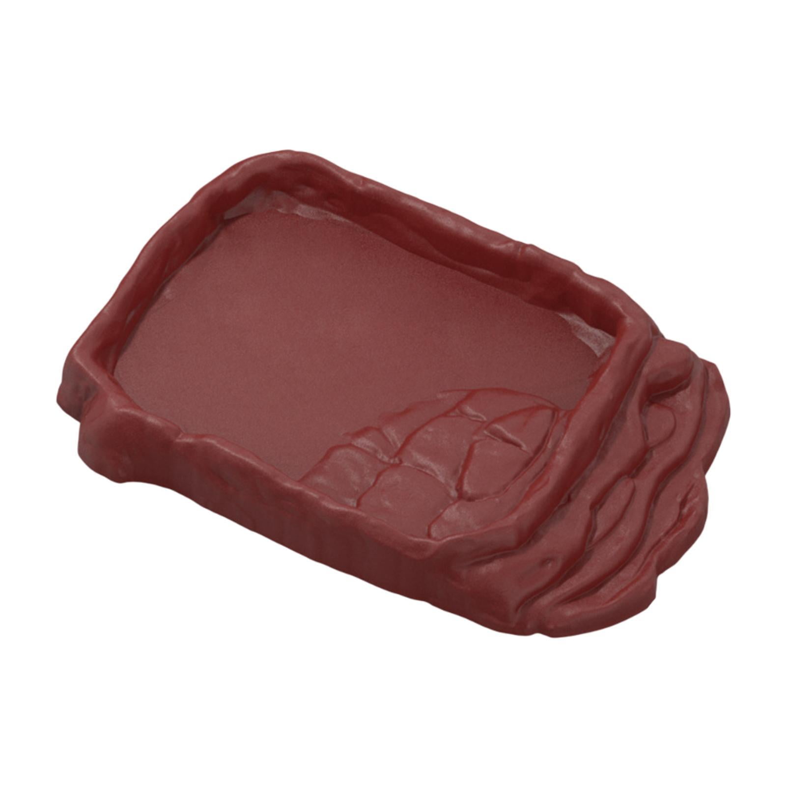 Bvdfgk Reptile Food Bowl Bathing Pool Feeding Plate Amphibian Feeding ...