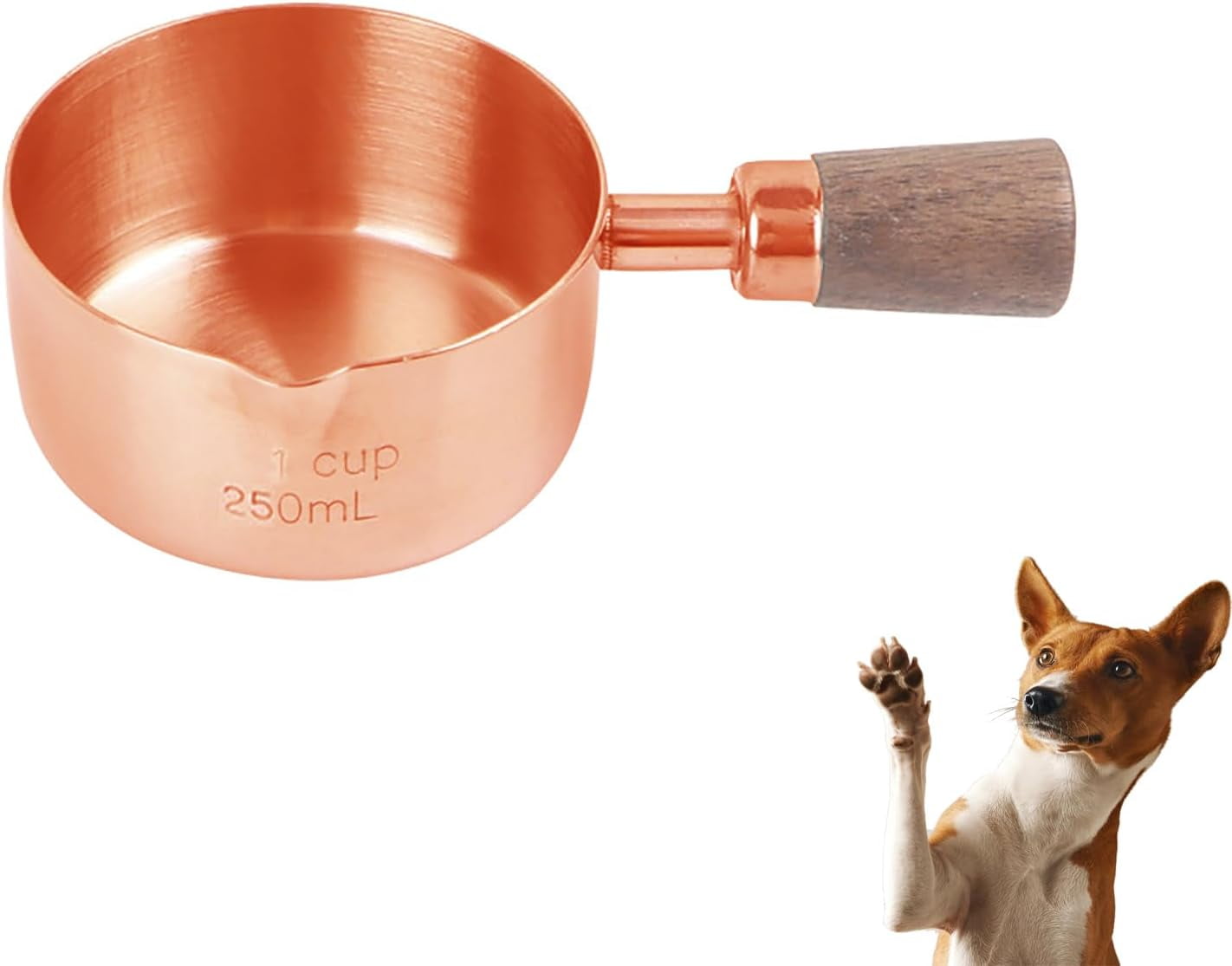 Bybiment 1 Cup Steel Food Measuring Cup for Dry and Wet Food ...