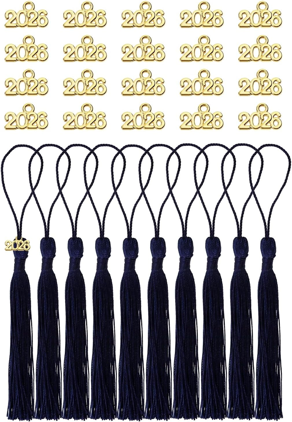 Bybiment 10 Pieces Silky Bookmark Tassels with 20 Pieces 2026 Year ...