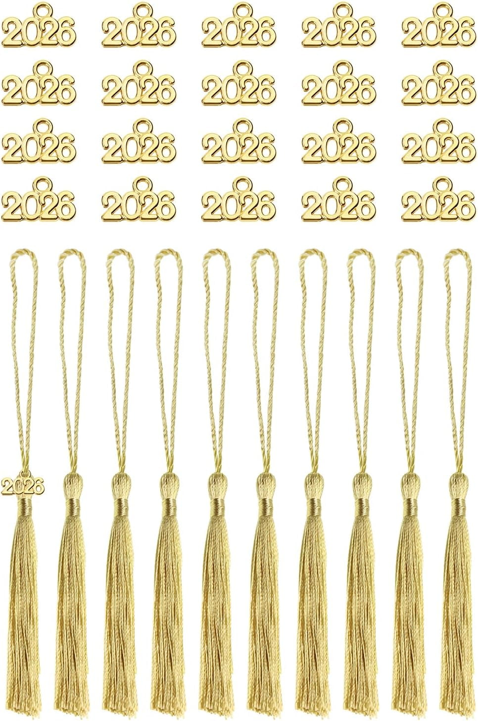 Bybiment 10 Pieces Silky Bookmark Tassels with 20 Pieces 2026 Year ...