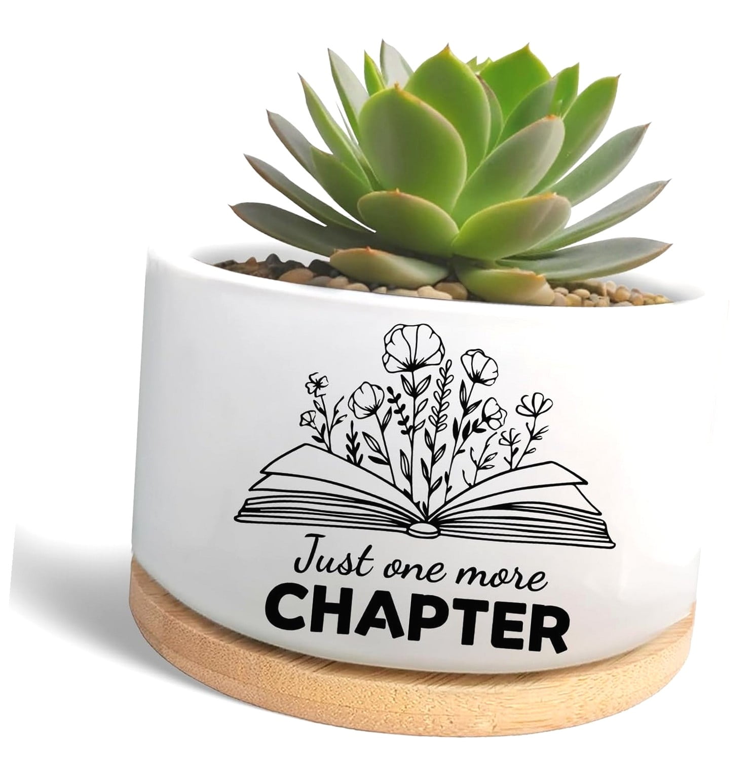 Bybiment Book Lovers Plant Pot for Succulent, Cactus, Reading for ...