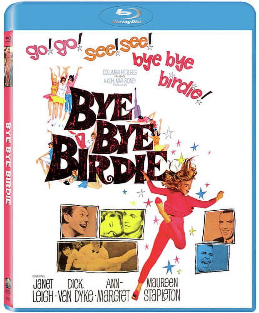 Bye Bye Birdie 1995