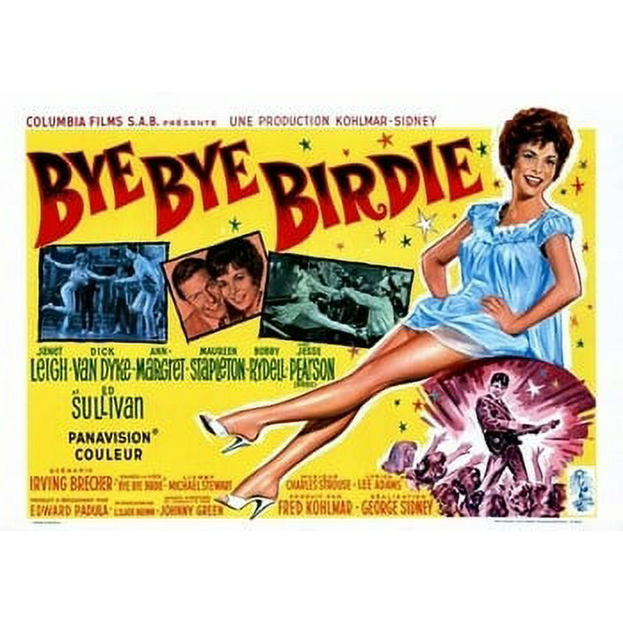 Bye Bye Birdie Movie Poster
