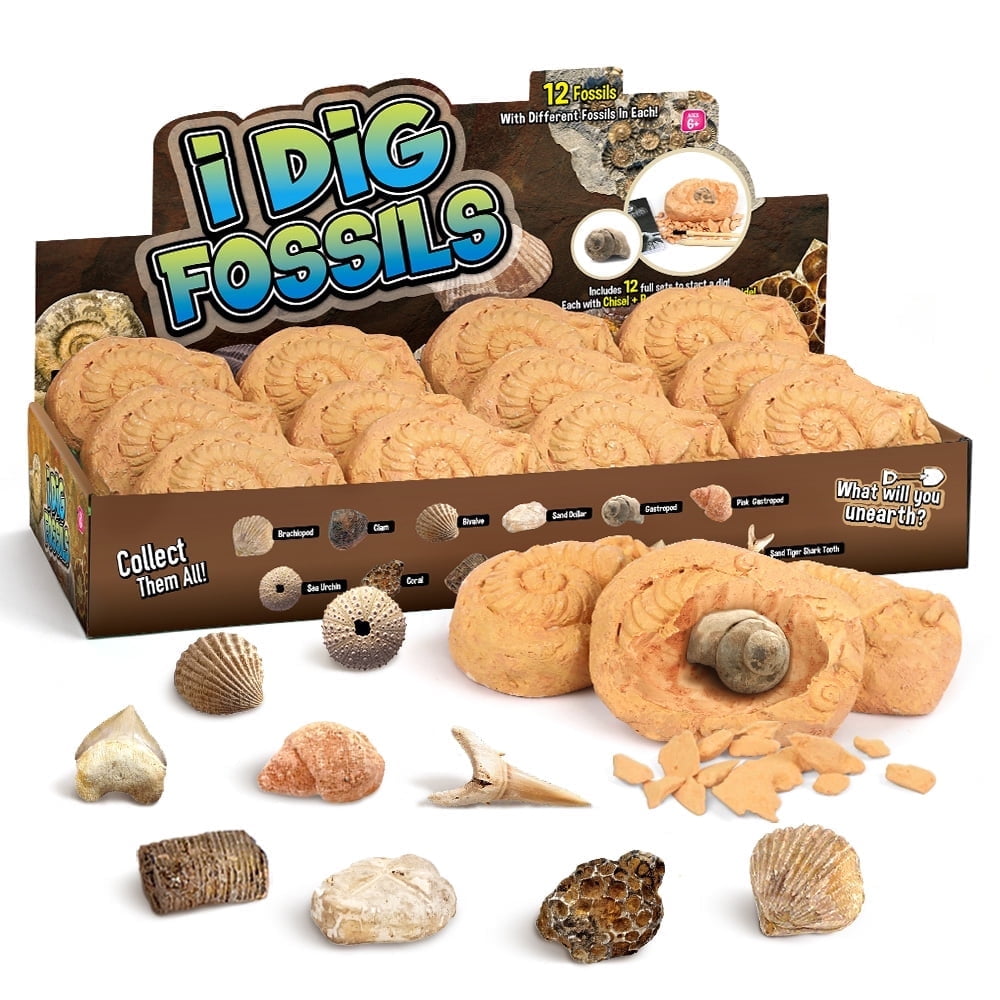 Byncceh Fossil Dig Kit - Educational STEM Science Toys for Kids Ages 6 ...