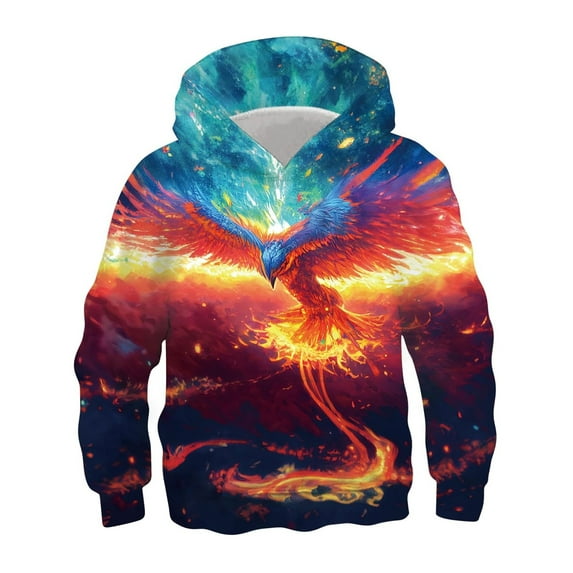 Byoo Big Boys Hooded Sweatshirt Phoenix Printed Long Sleeve Hoodie ...