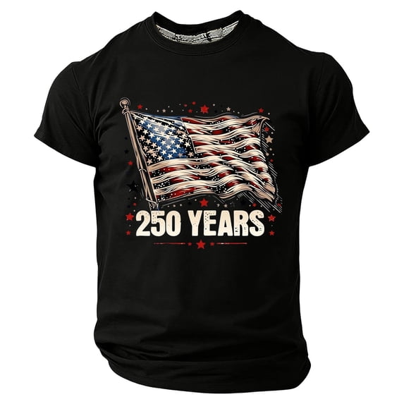 Byoo Toddler Boys 250 Years Vintage USA Flag Graphic Crew Neck T-Shirt ...