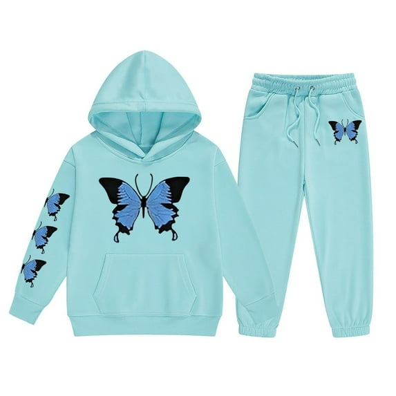 Byoo Toddler Girls Tracksuit Outfit Buttrfly Graphic Pullover Hoodie ...