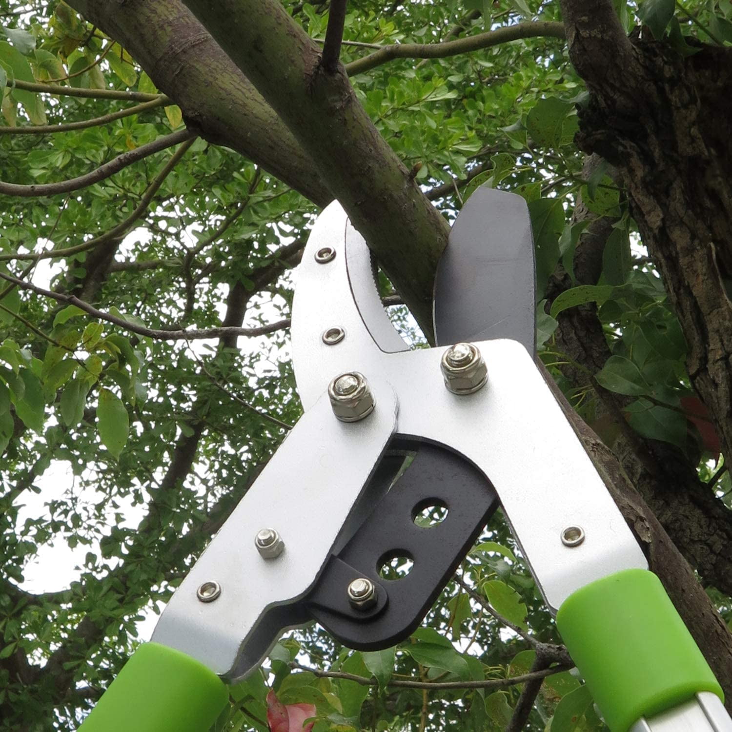 Bypass Lopper with Extendable, Anvil Lopper Heavy Duty, Tree Trimmer ...