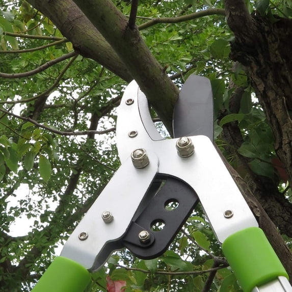 Bypass Lopper with Extendable, Anvil Lopper Heavy Duty, Tree Trimmer ...