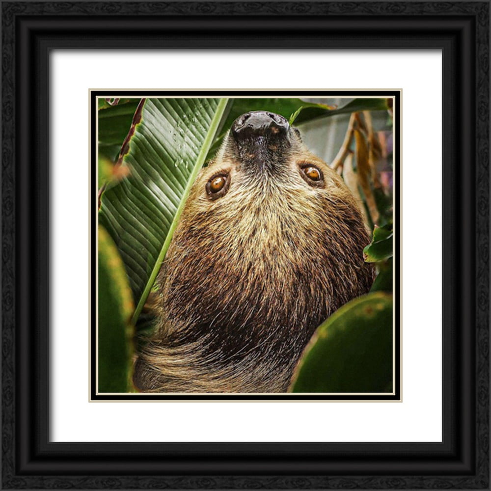 Bysshe, Stan 26x26 Black Ornate Wood Framed with Double Matting Museum ...