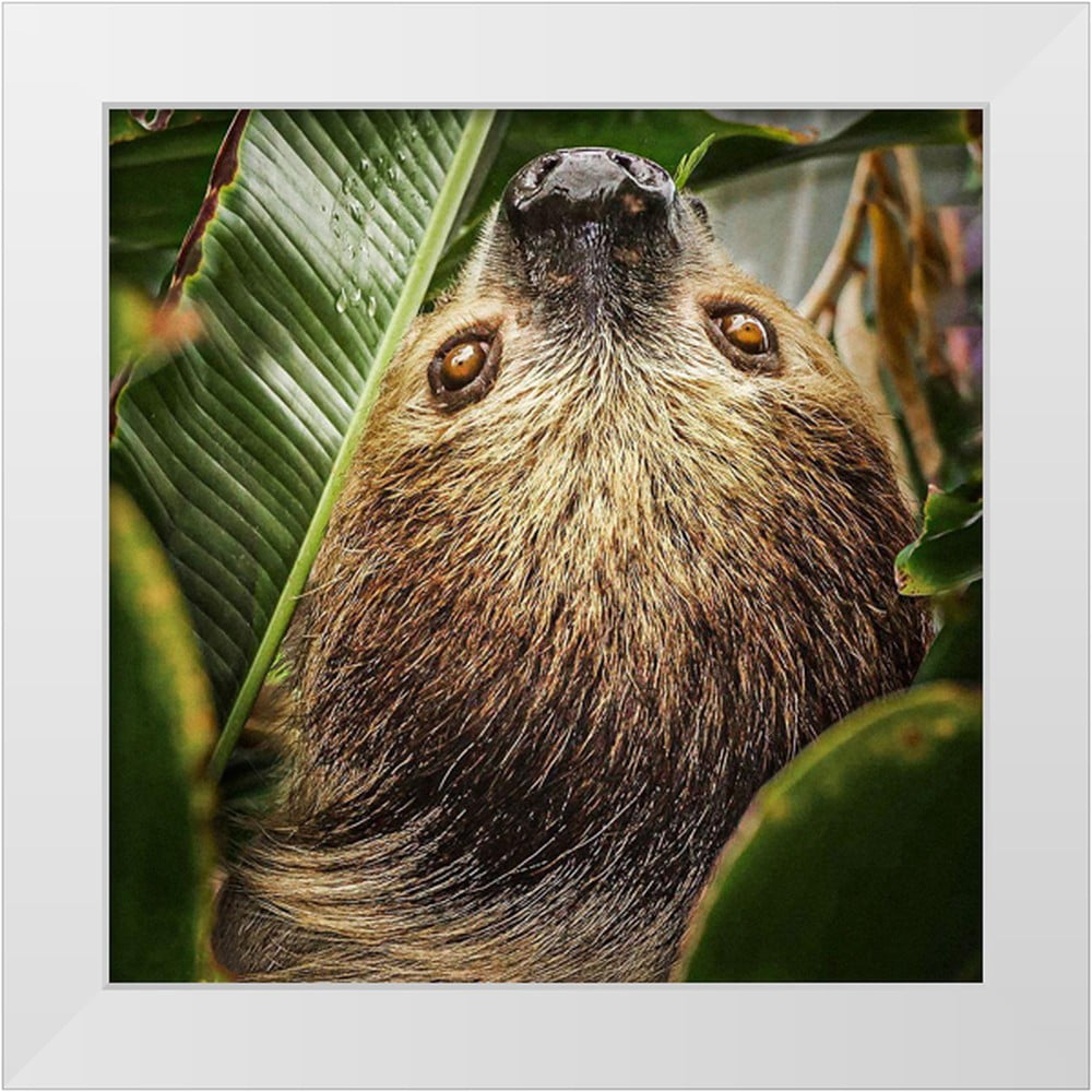 Bysshe, Stan 26x26 White Modern Wood Framed Museum Art Print Titled ...
