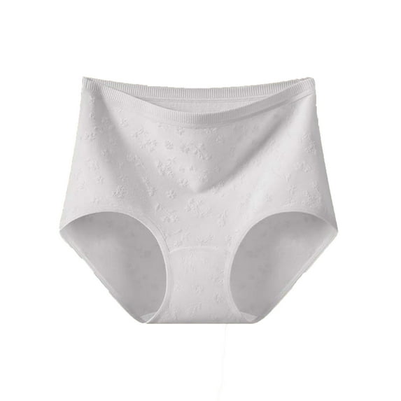 Byworldtasic No Boundaries Cotton Stretch Plus Size Underwear Briefs ...