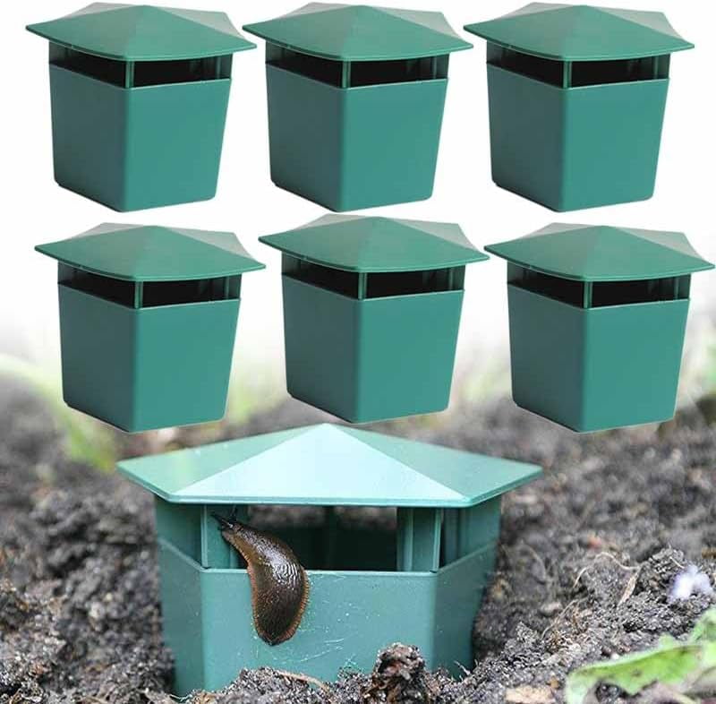 Bzdzmqm Beer Slug Snail Traps, 6PC Beer Snail and Slug Traps, Earwig ...