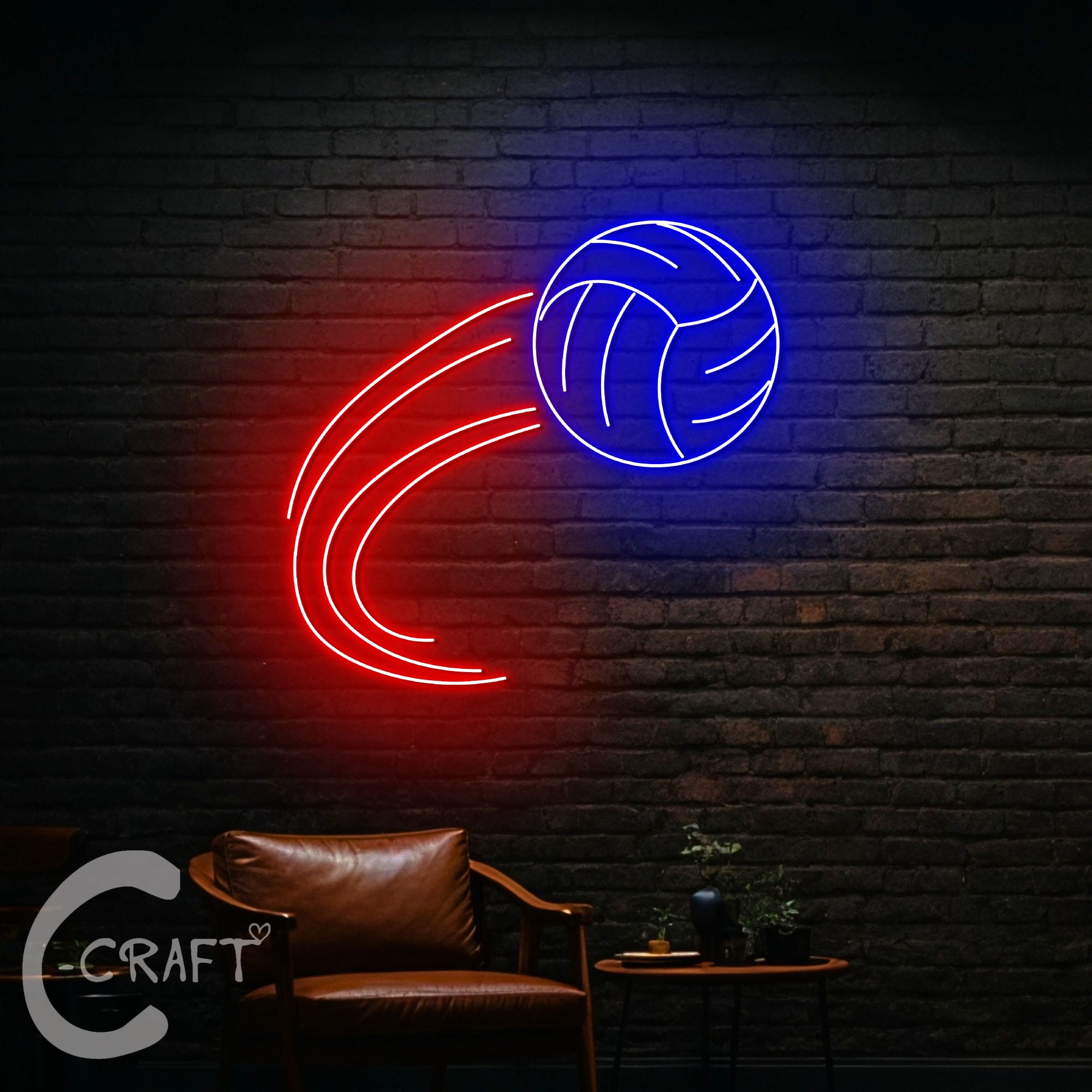 C-CRAFT Volleyball Ball Neon Led Light Up 23 inch for Volleyball Club ...