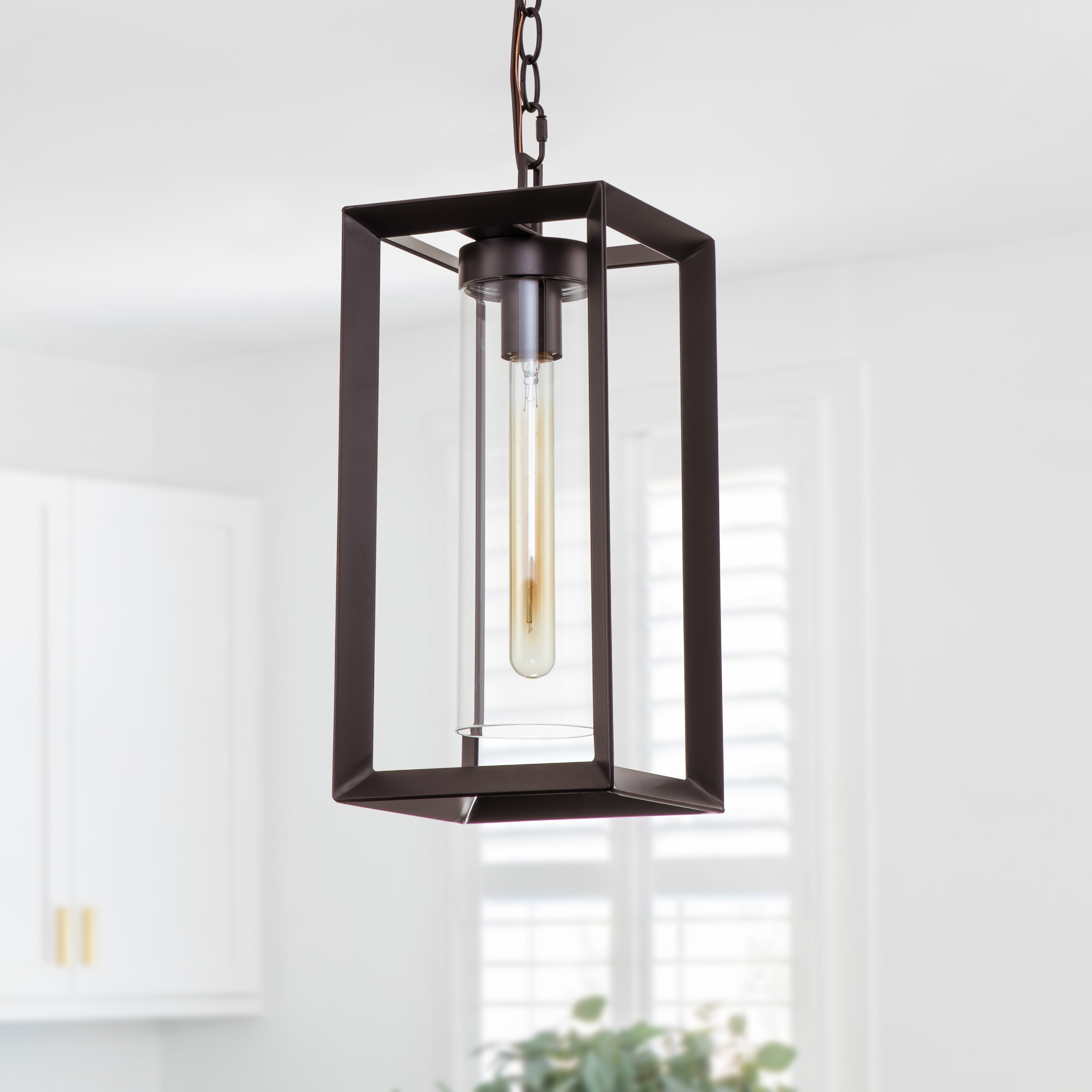 C Cattleya 1-Light Bonze Hanging Pendant Light with Clear Glass Shade ...