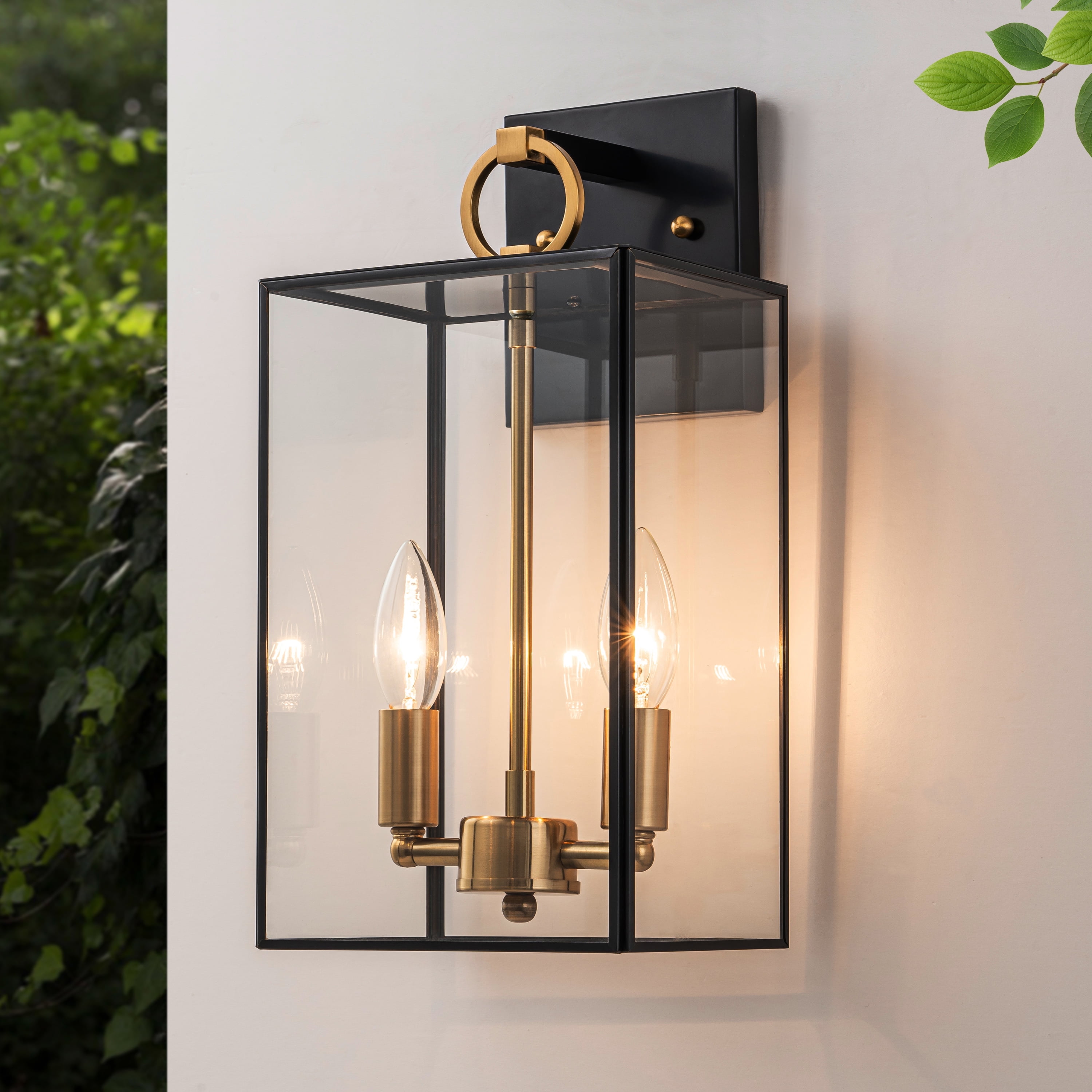 C Cattleya 2-Light Dark Bronze Finish Brass Outdoor Wall Lantern with ...