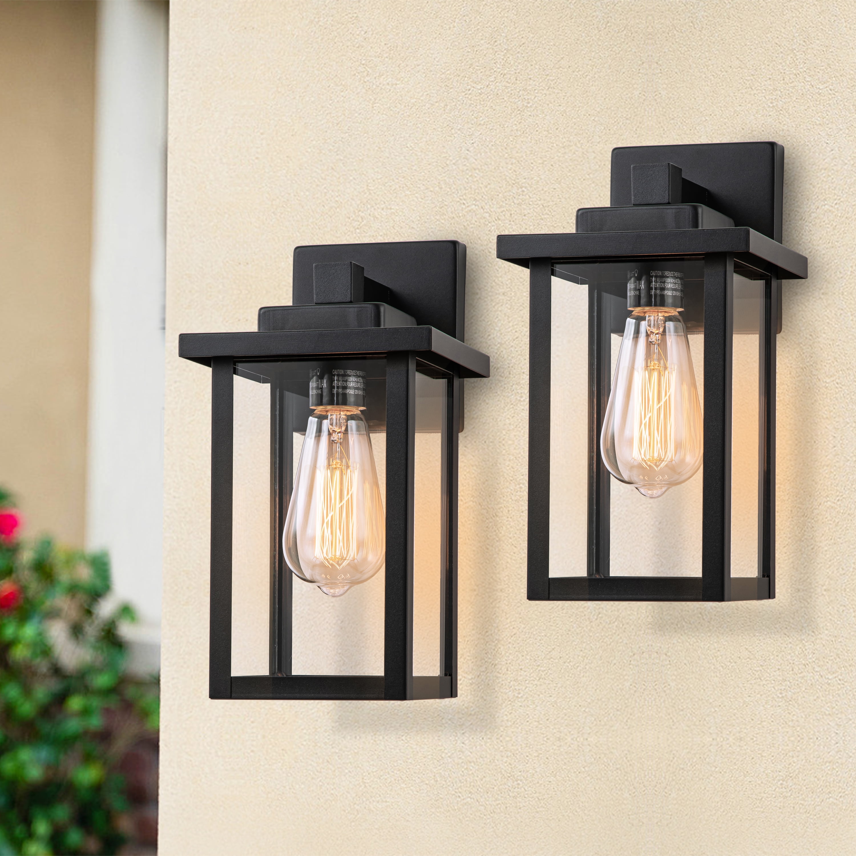 C Cattleya 2-Pack Powder-Coated Black Outdoor Wall Sconces with Clear ...