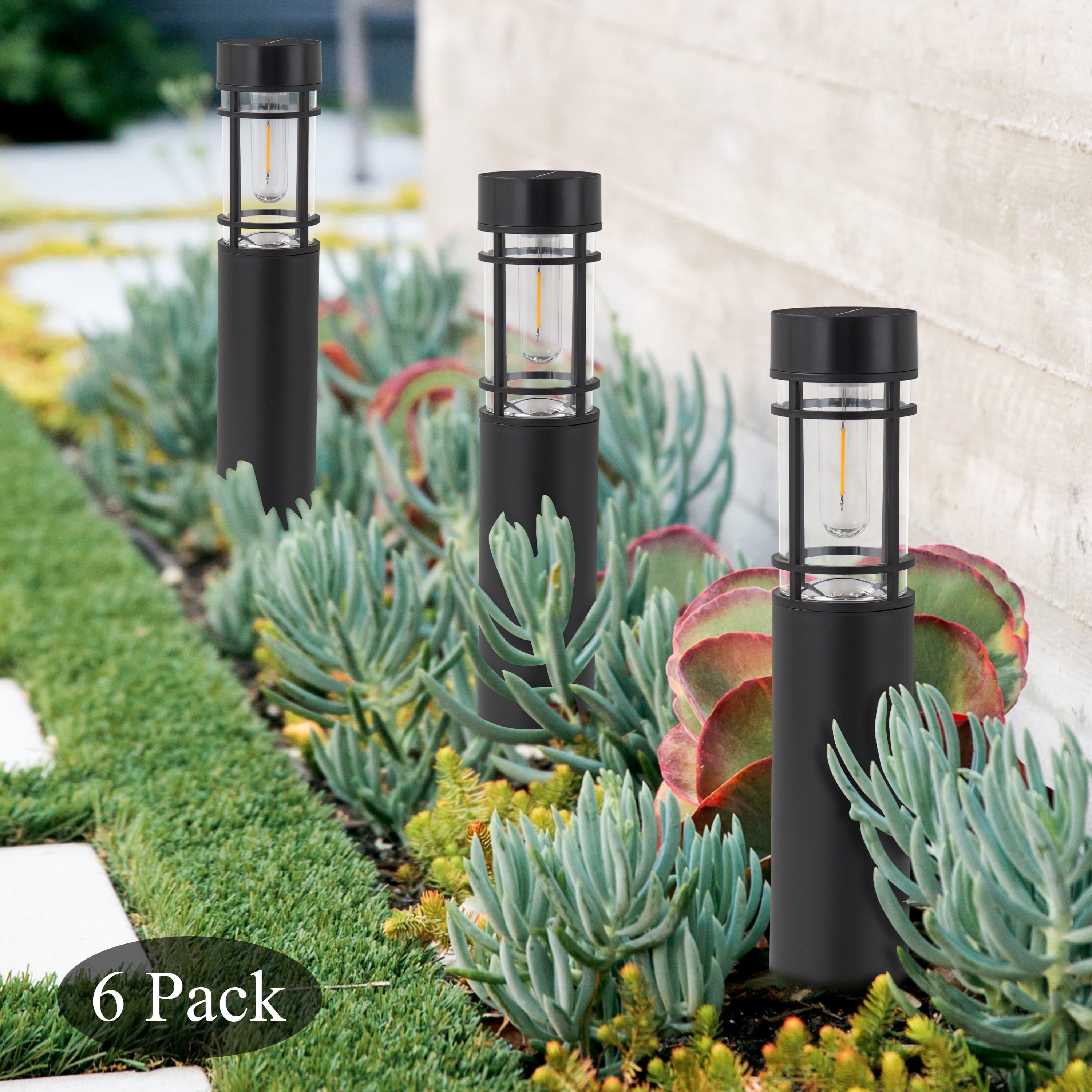 C Cattleya 6-Pack Black Solar LED Outdoor Path Lights for Walkway ...