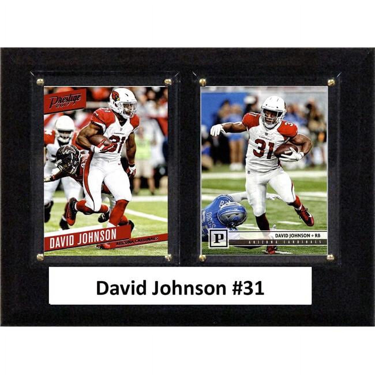 C&I Collectables 68DAVJOHNSON NFL 6 x 8 in. David Johnson Arizona ...
