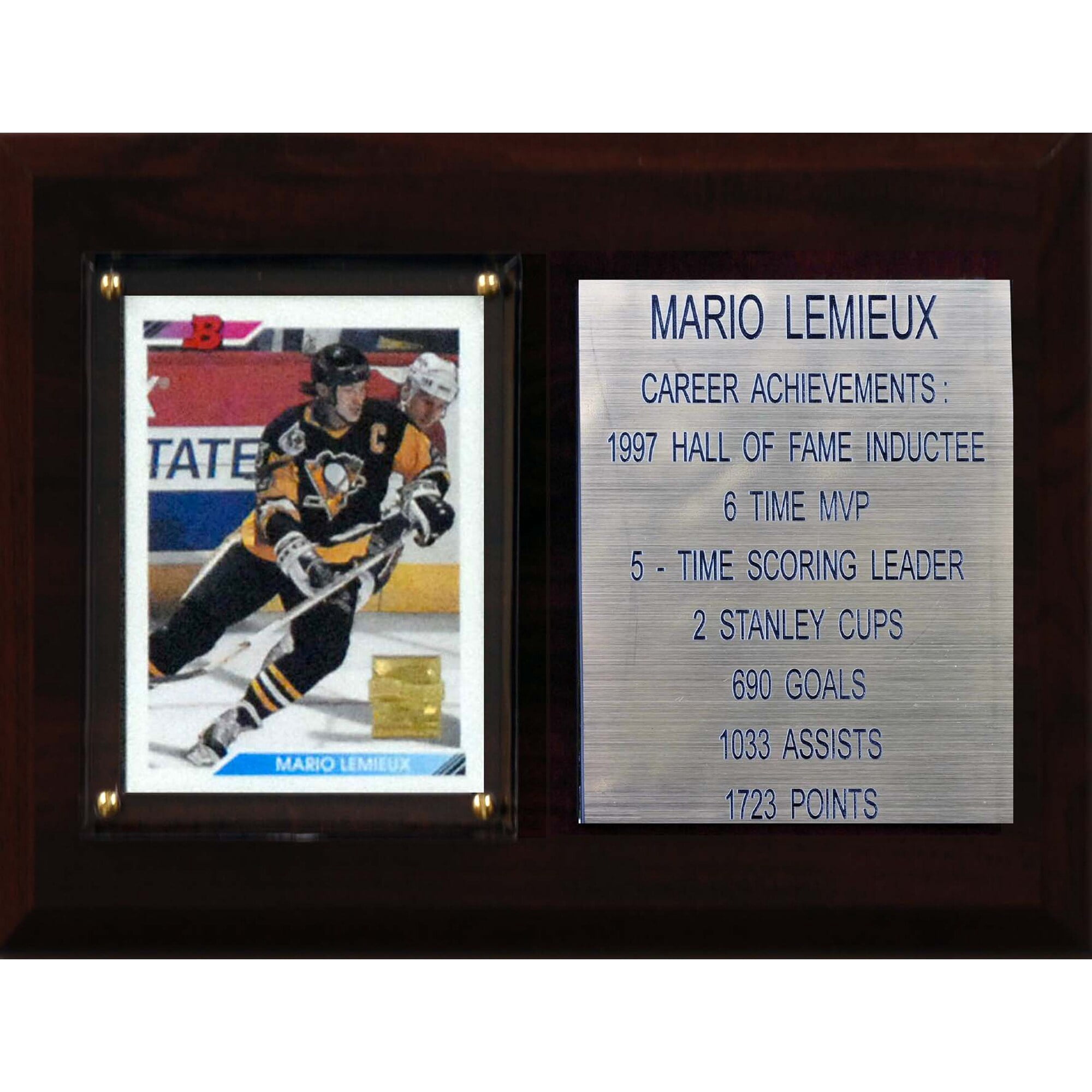 C&I Collectibles NHL Mario Lemieux Pittsburgh Penguins Career Stat ...