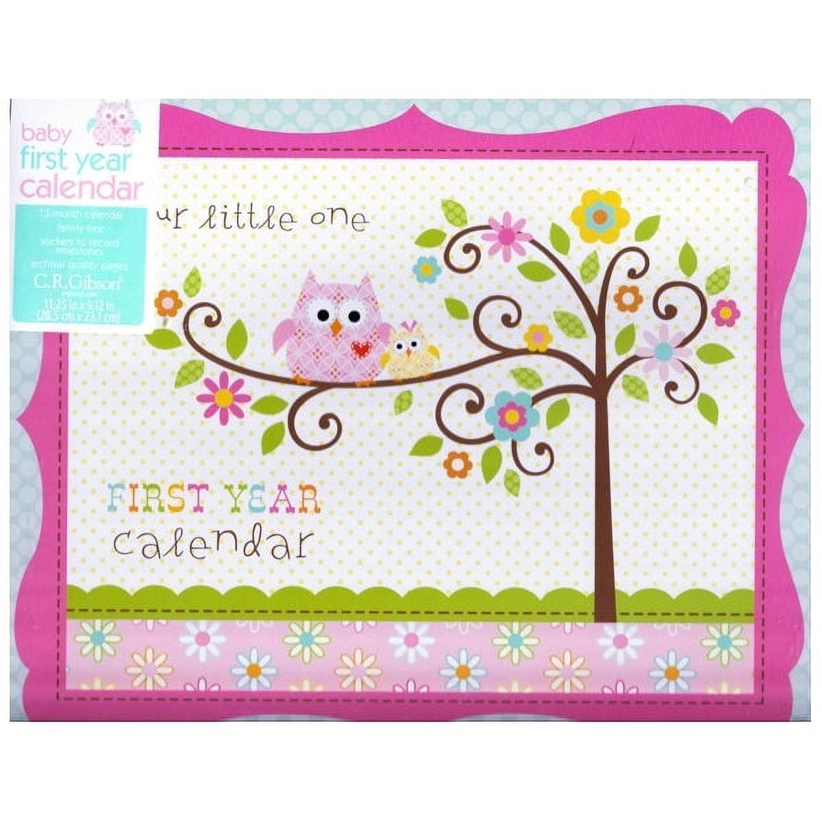 C.R. Gibson LLC Baby First Year Calendar, 13-Month, Multicolor, 9 x 11. ...