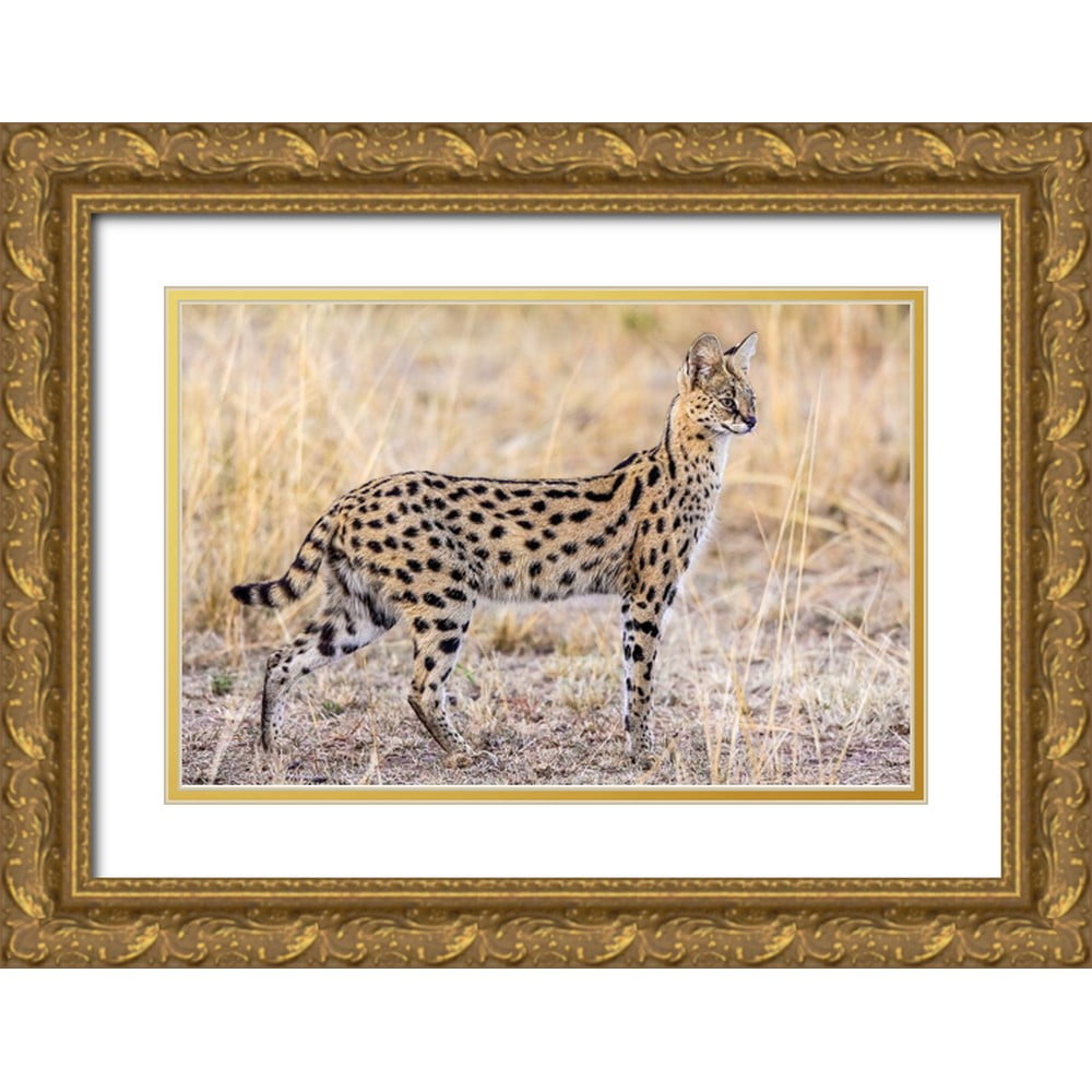 C. Sink, Jeffrey 24x17 Gold Ornate Wood Framed with Double Matting ...