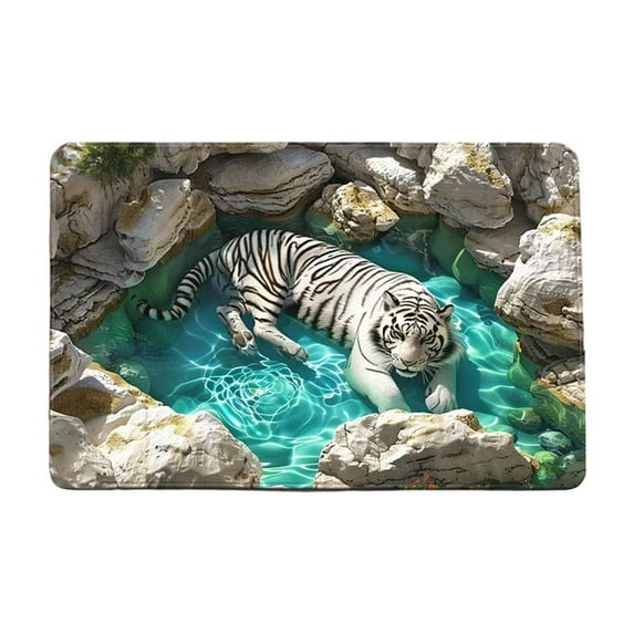 C Stereoscopic Visual Effect Entrance Door Mat 16X24 Inch Absorbent Non ...