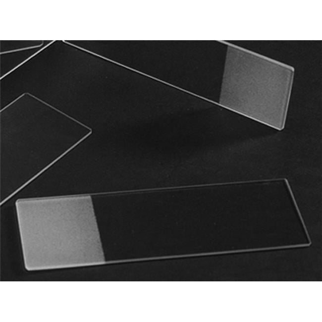 C and A Scientific 8205 Beveled Single Frosted Slides- one end- one ...